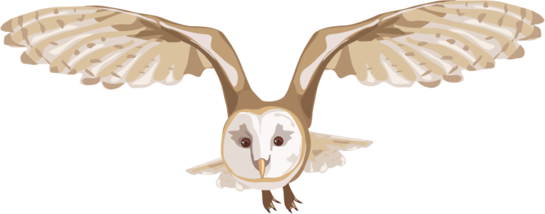 羽根を広げて飛んでいるメンフクロウのイラスト コピペできる無料イラスト素材展